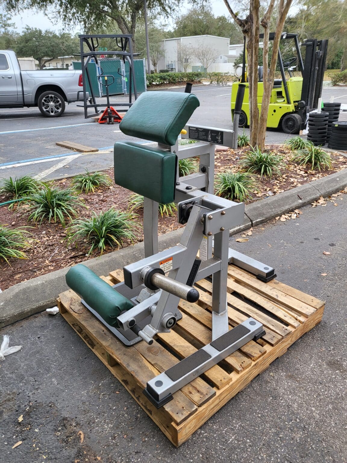 Paramount Standing Leg Curl - ReFit Nation