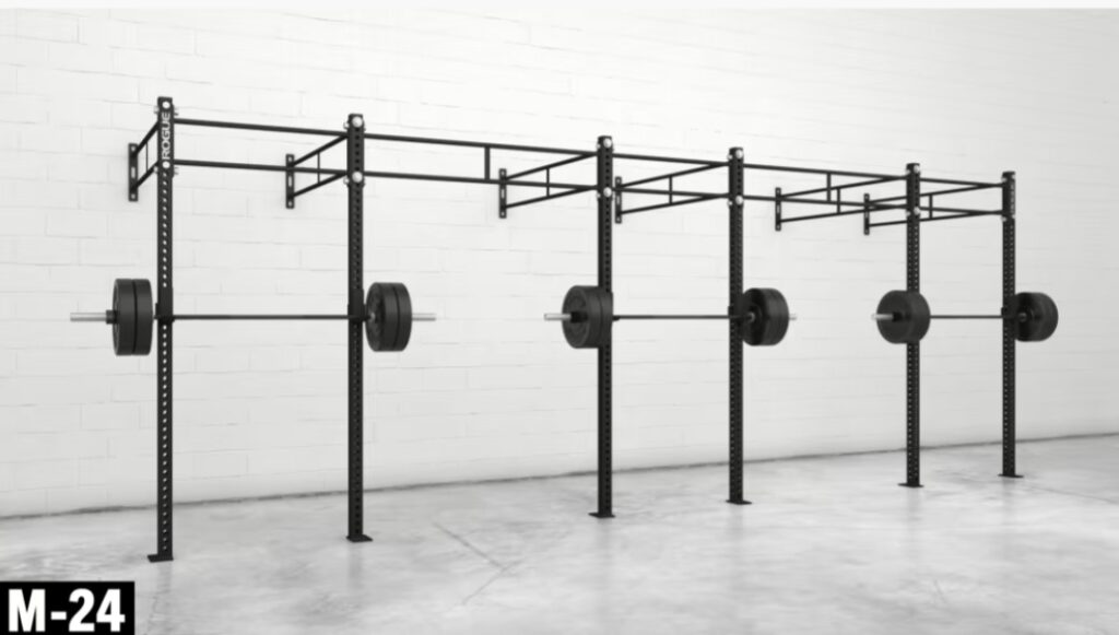 Rogue Fitness Monster Wallmount Rig - ReFit Nation