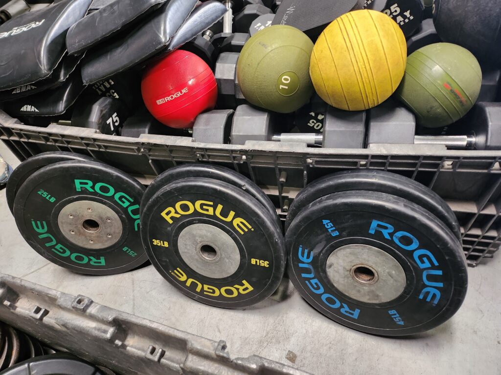 Rogue Fitness LB Training Bumper Plates - ReFit Nation